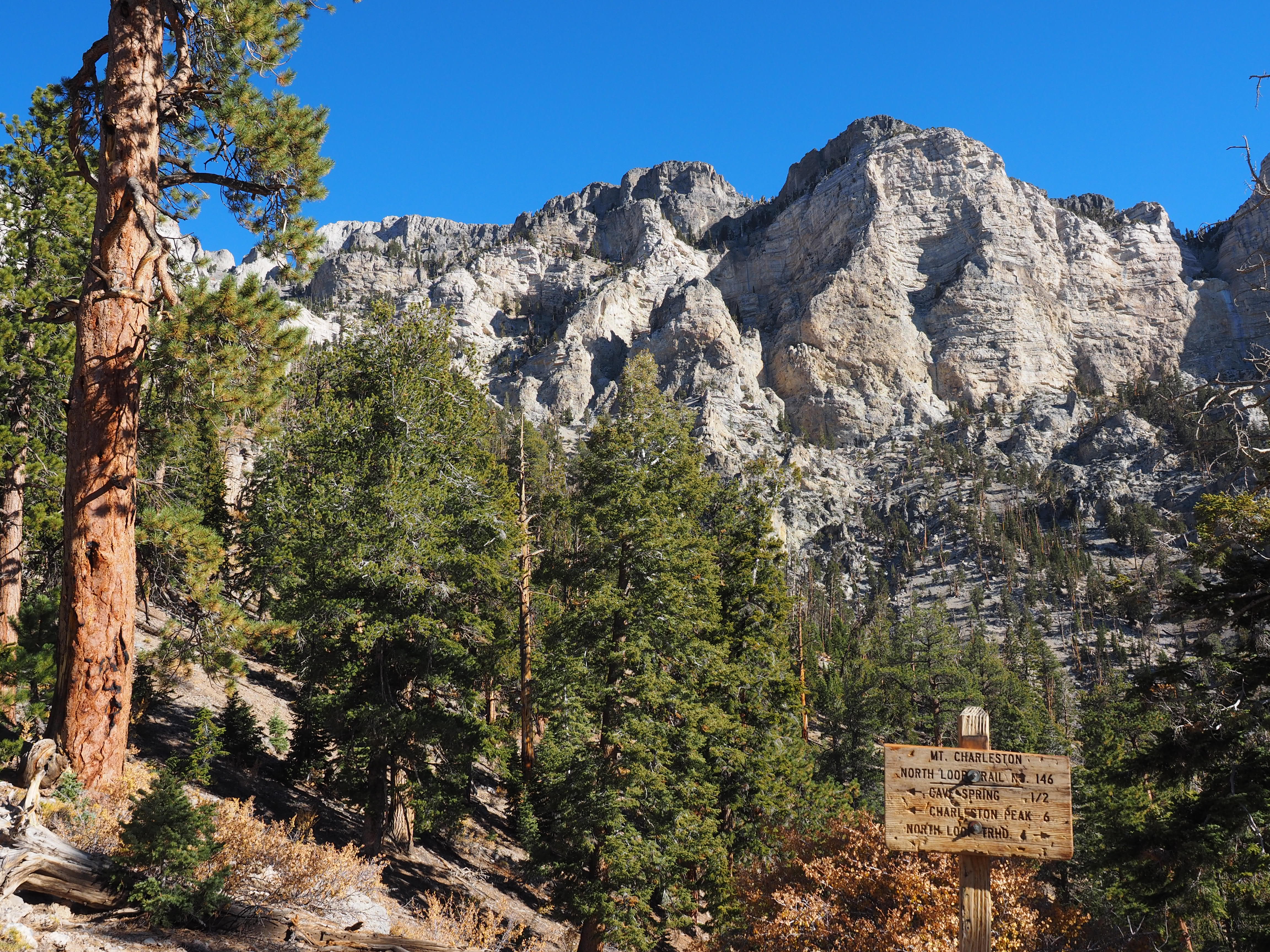 The Best Trails and Outdoor Activities in Sandy Valley, Nevada - The ...