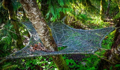 Spend a Night at TreeHouse Point, Washington