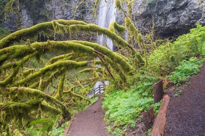 Hike to Shellburg Falls , Shellburg Falls Trailhead