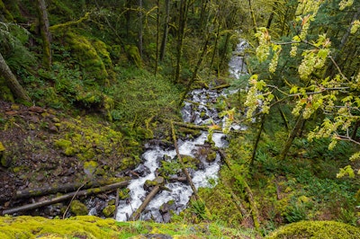 Hike to Shellburg Falls , Shellburg Falls Trailhead