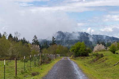 Hike to Shellburg Falls , Shellburg Falls Trailhead