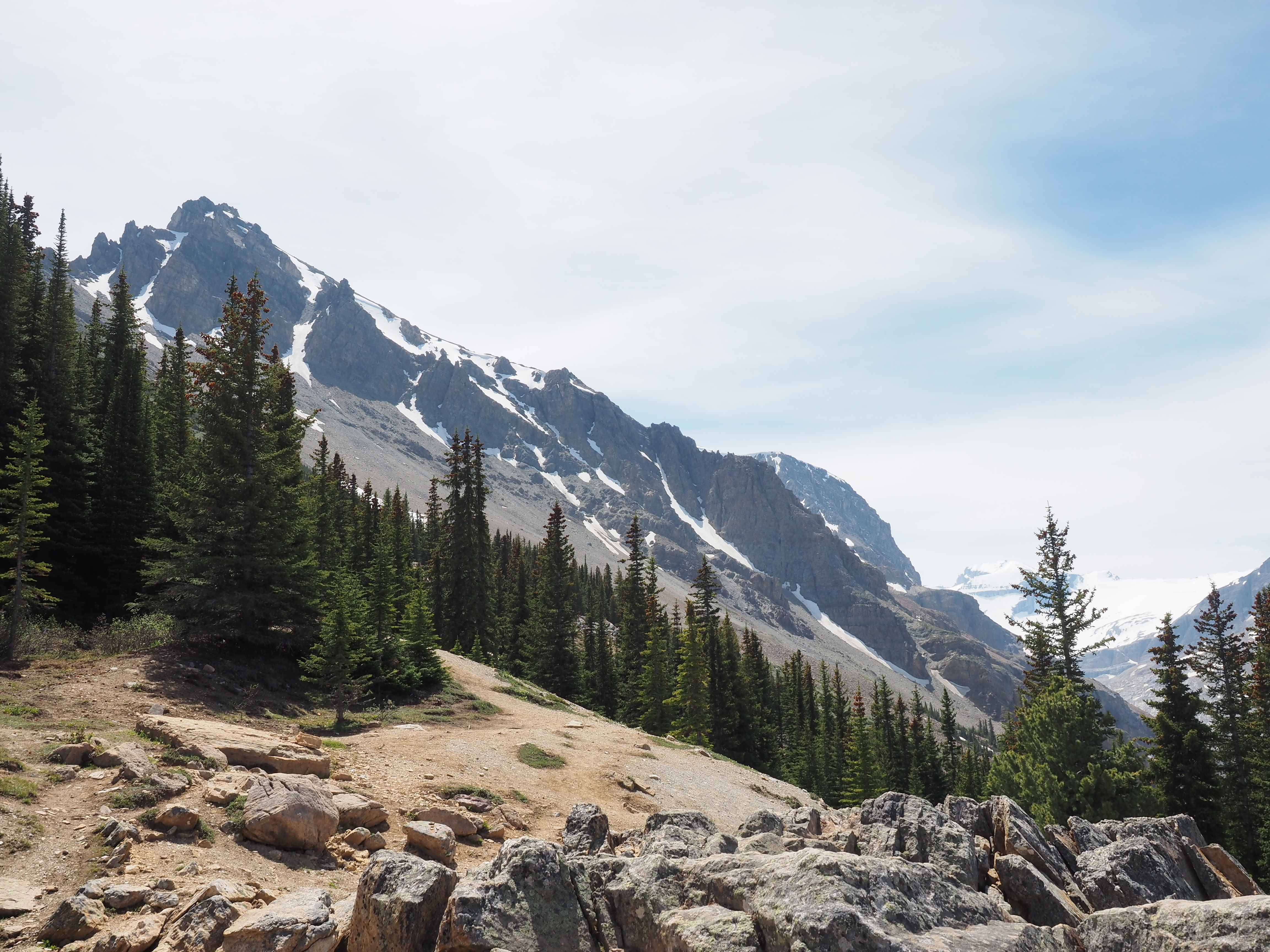 Photo of Peyto Lake Overlook and Bow Pass Summit