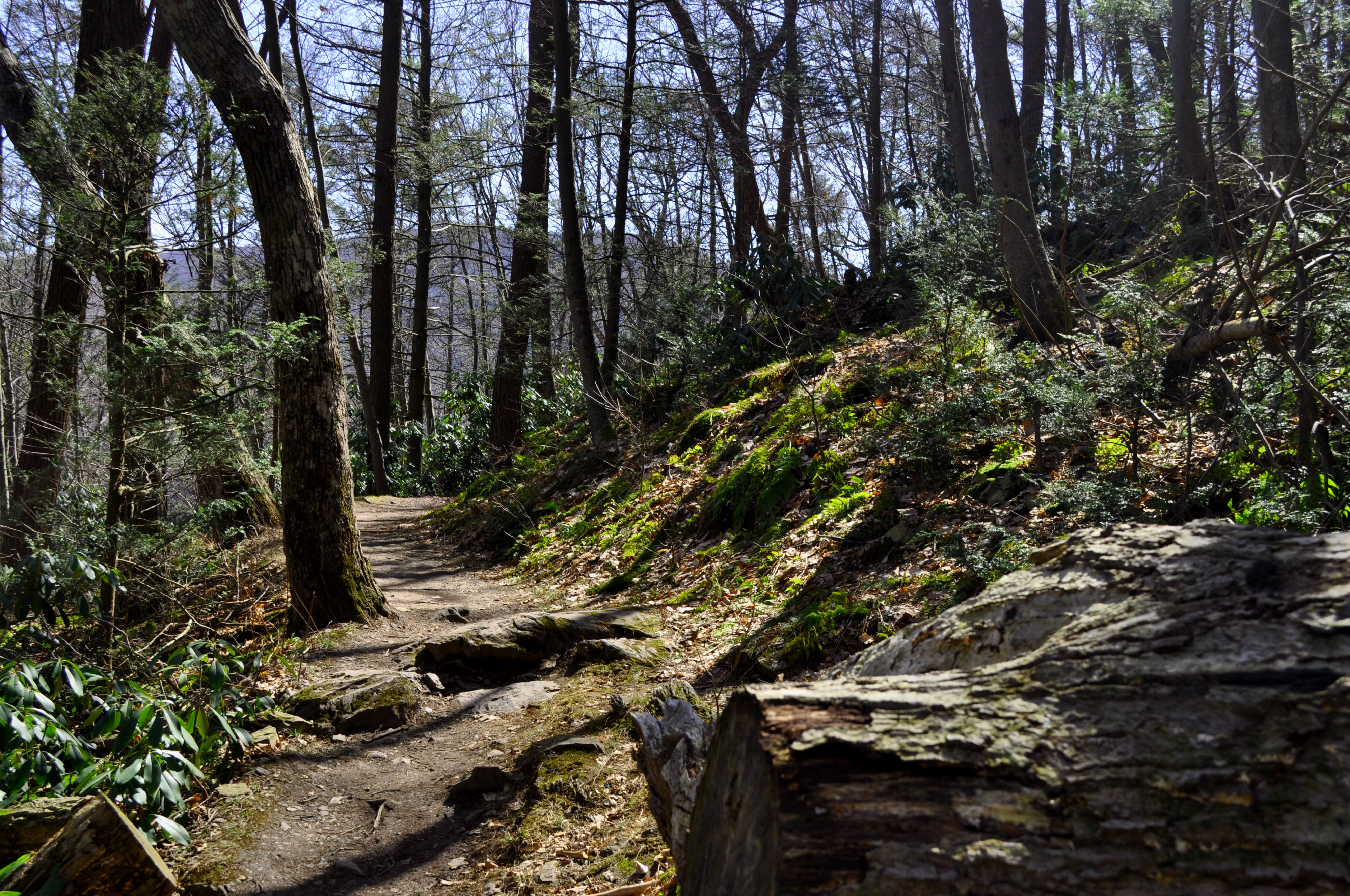 Hike Mount Minsi, Bangor, Pennsylvania