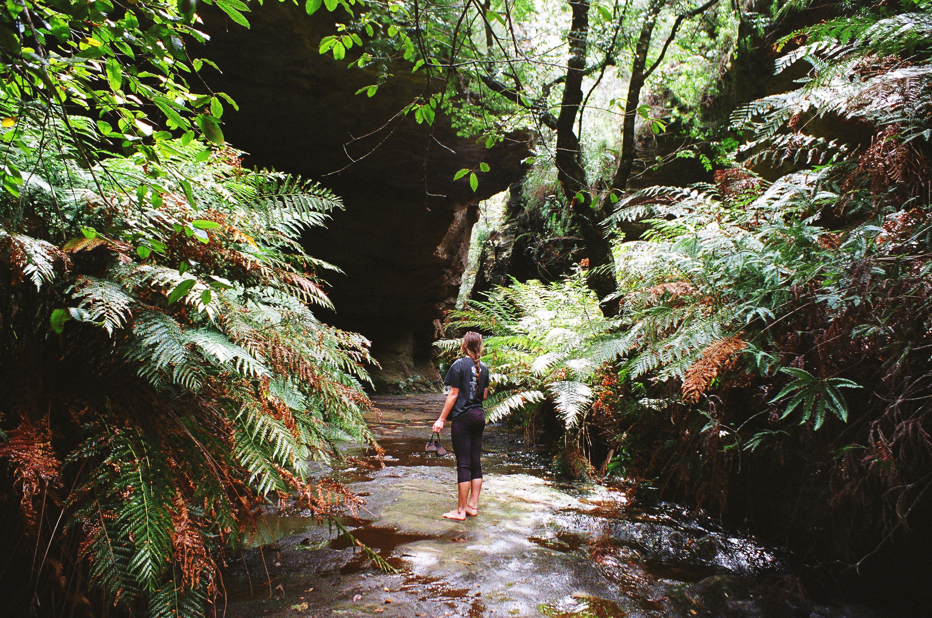 Explore Deep Pass Canyon, Newnes Plateau, New South Wales