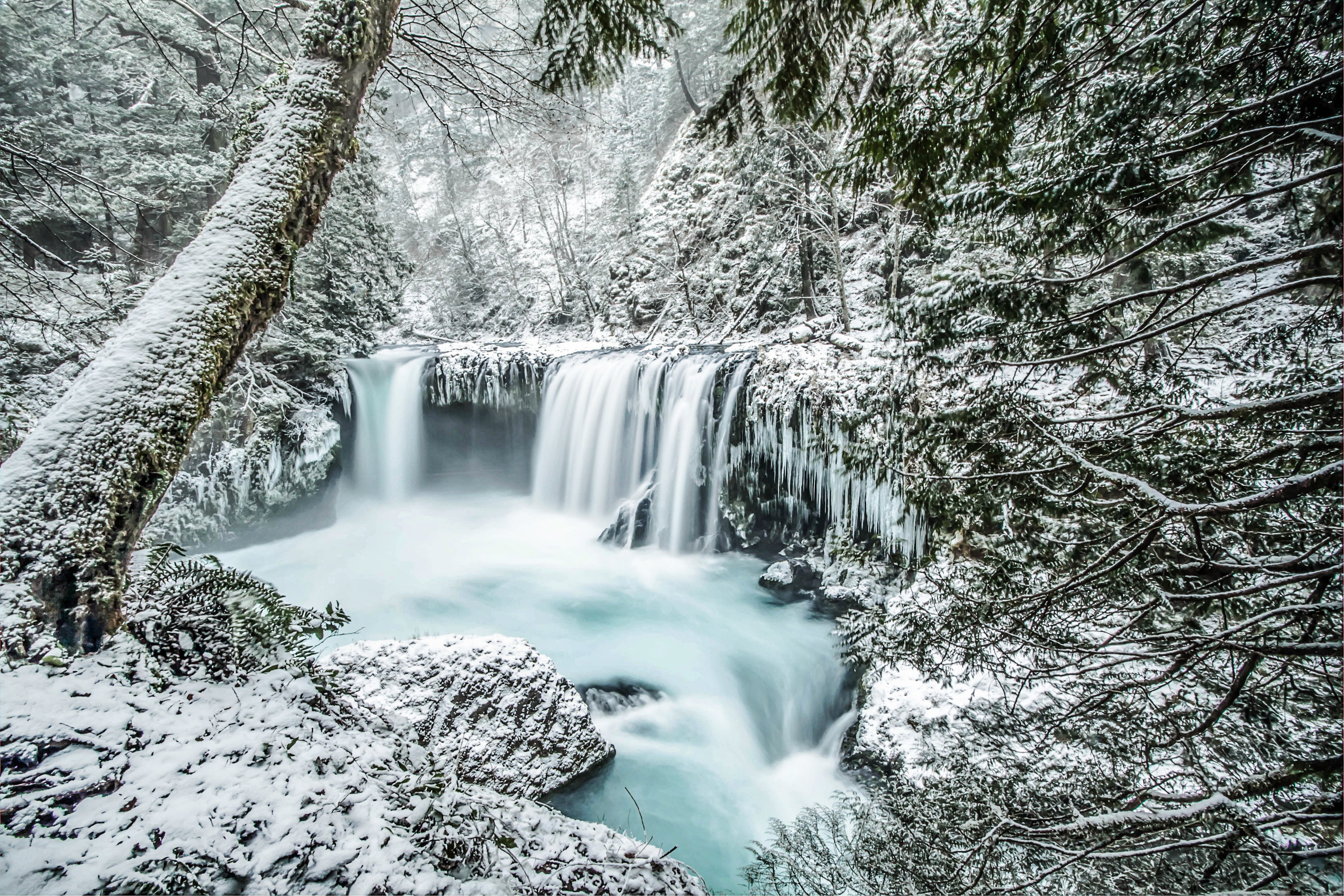 Photo of Hike to Spirit Falls