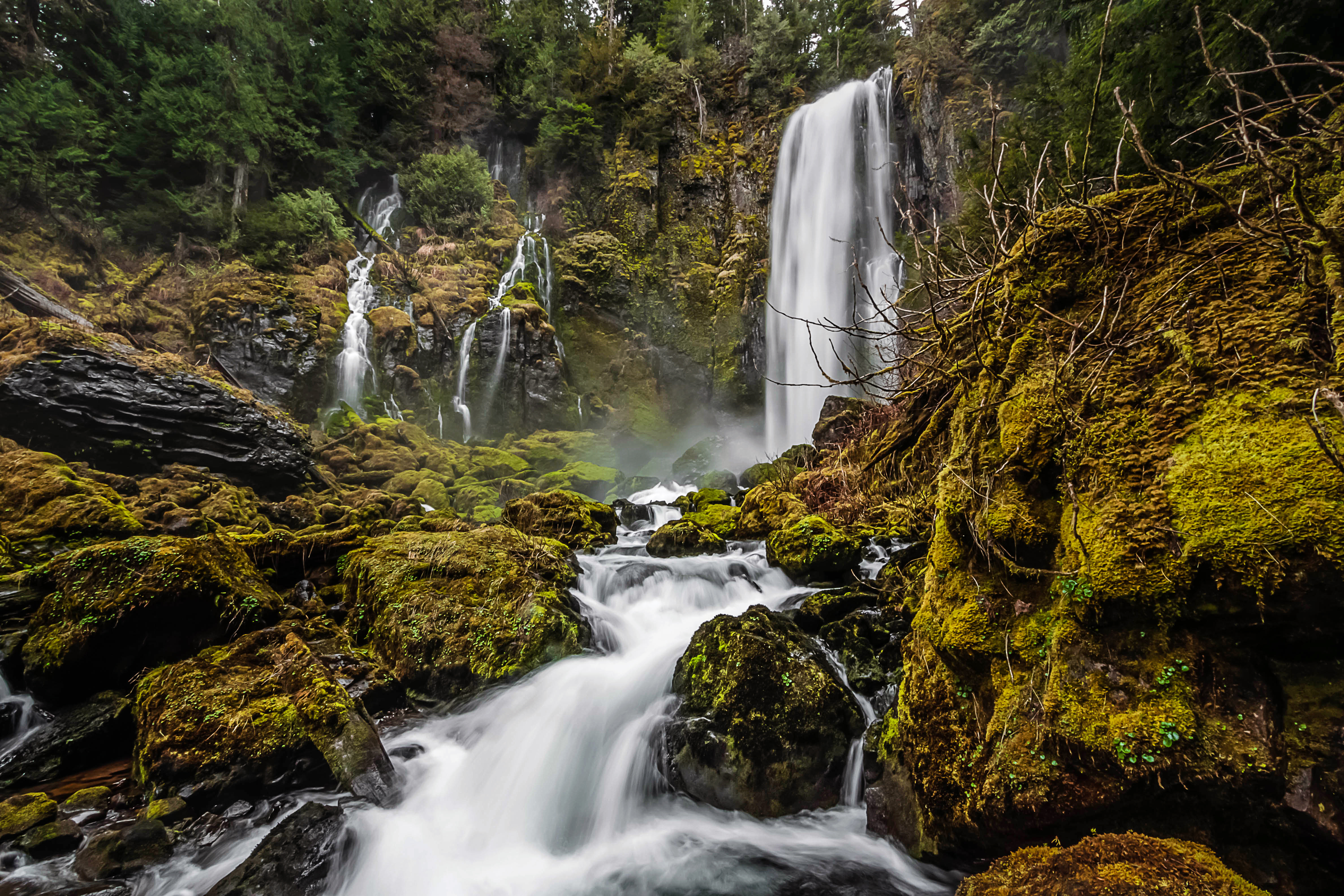 McClellan Falls, Skamania County, Washington