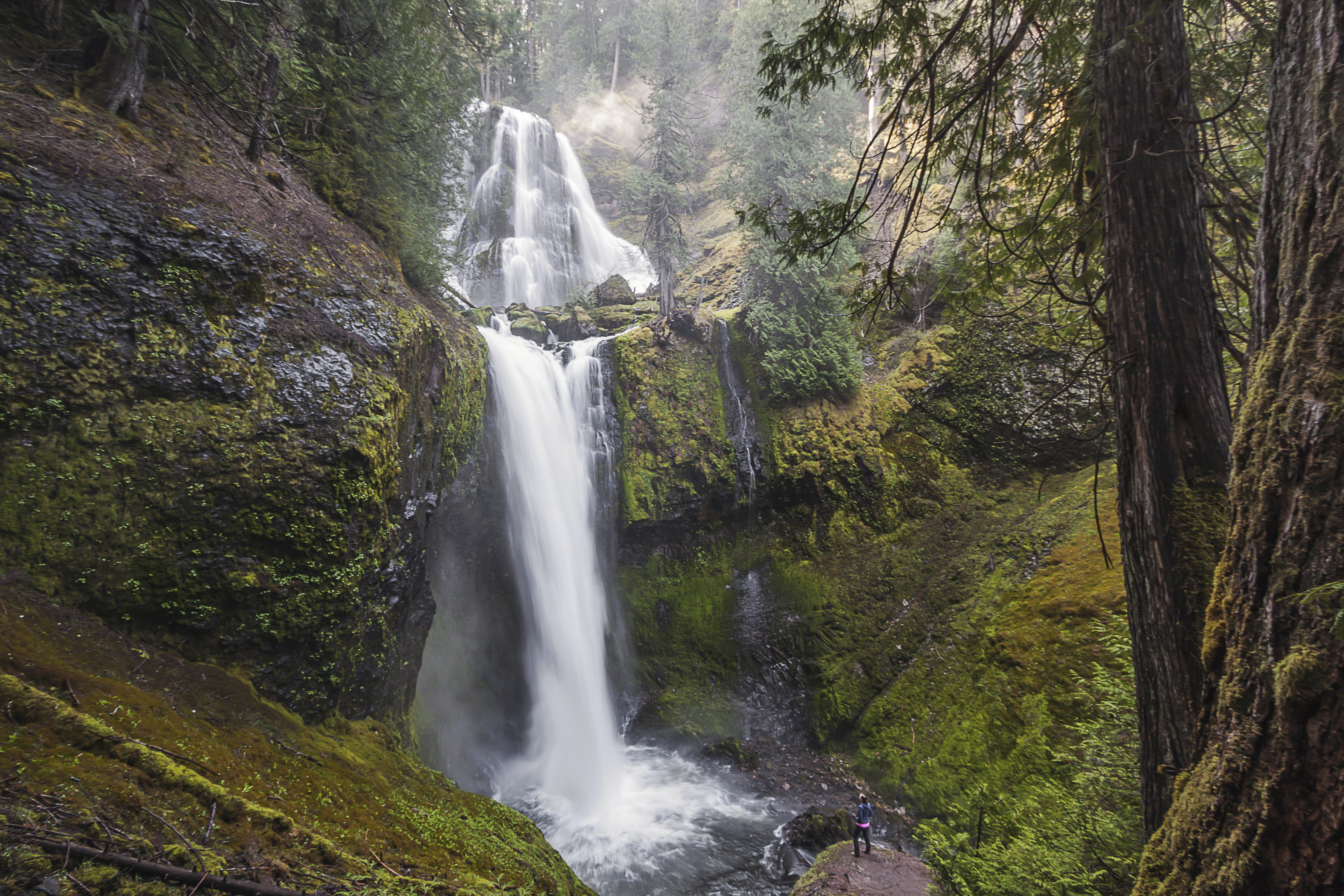 Falls Creek Falls, Carson, Washington
