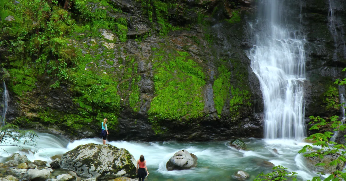 Hike the Boulder River Trail, Boulder River Trailhead, French Creek Rd.