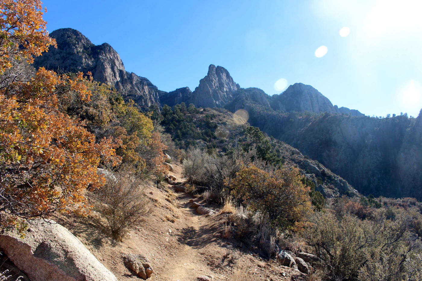 Photo of Hiking the Sandia Mountains, La Luz Trail