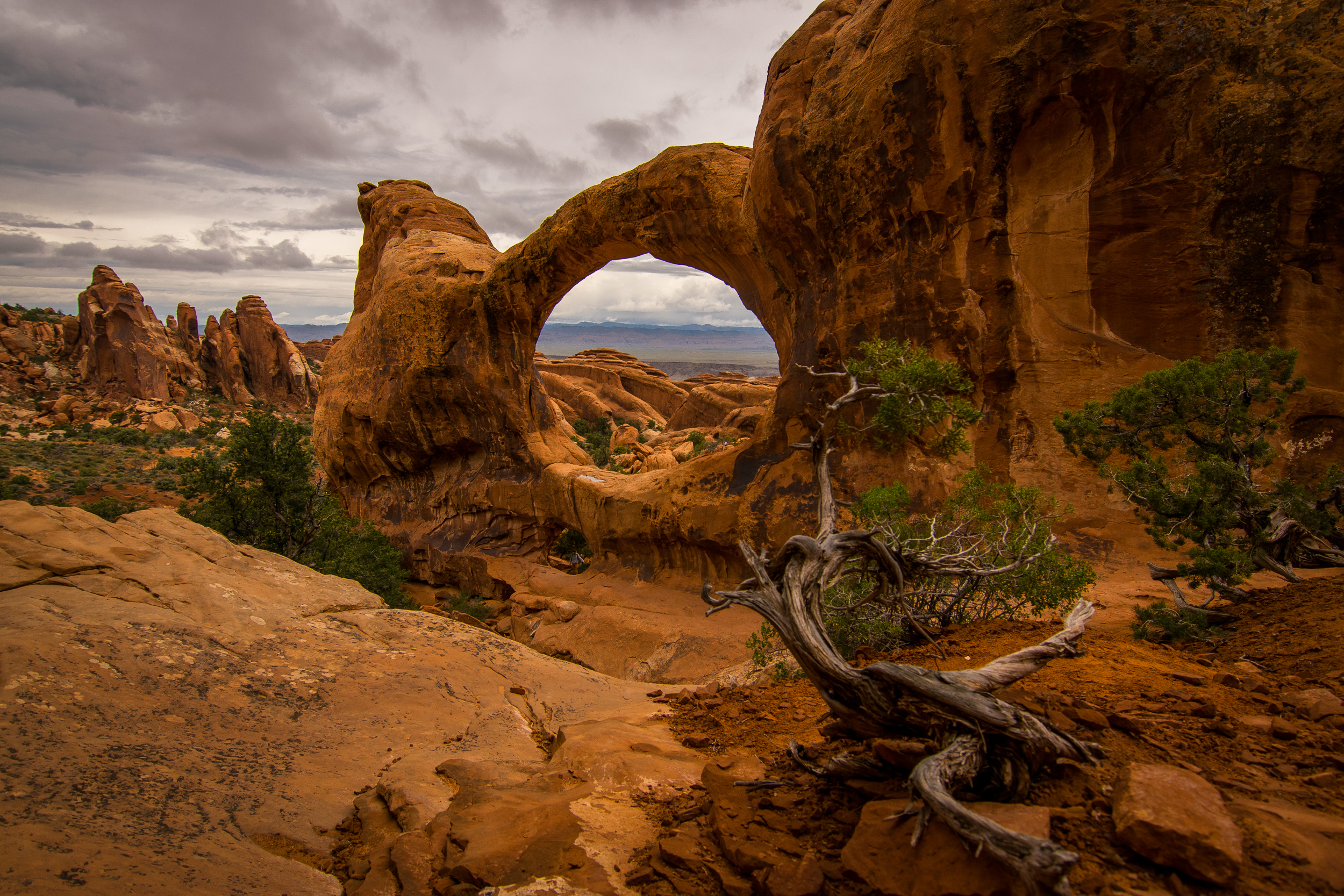 Devils Garden Primitive Loop, Grand County, Utah