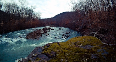 Backpack Along Whitaker Creek, Hawksbill Crag/Whitaker Point TH