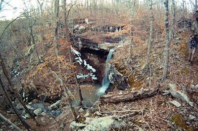 Backpack Along Whitaker Creek, Hawksbill Crag/Whitaker Point TH