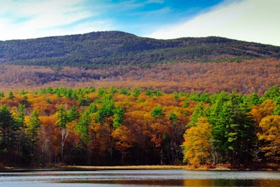 Hike to the Summit of Mount Monadnock, White Dot Trailhead