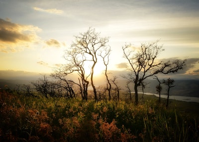 Hiking McCall Point, McCall Point Trail, Mosier, OR 97040, USA