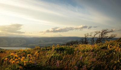Hiking McCall Point, McCall Point Trail, Mosier, OR 97040, USA