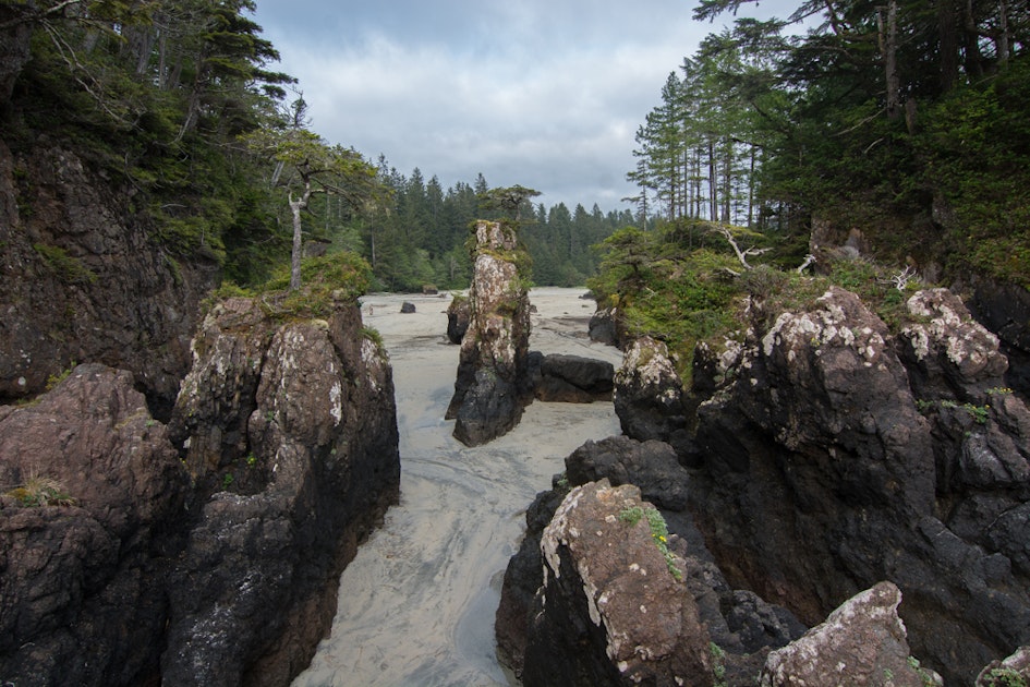 Camp at San Josef Bay , Mount Waddington B, British Columbia