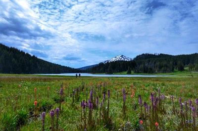 Camp at Todd Lake, Todd Lake Campground
