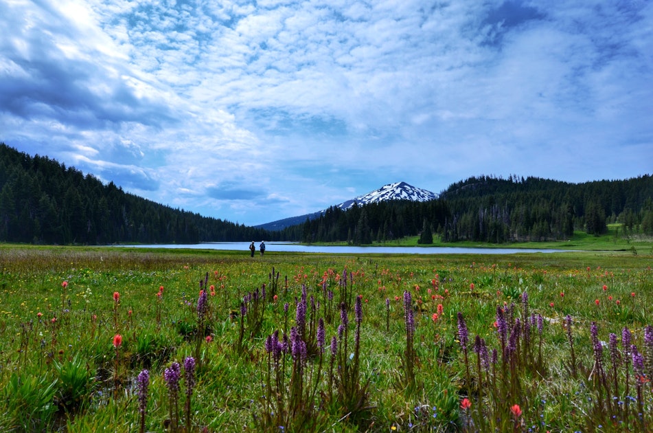 Camp at Todd Lake, Bend, Oregon