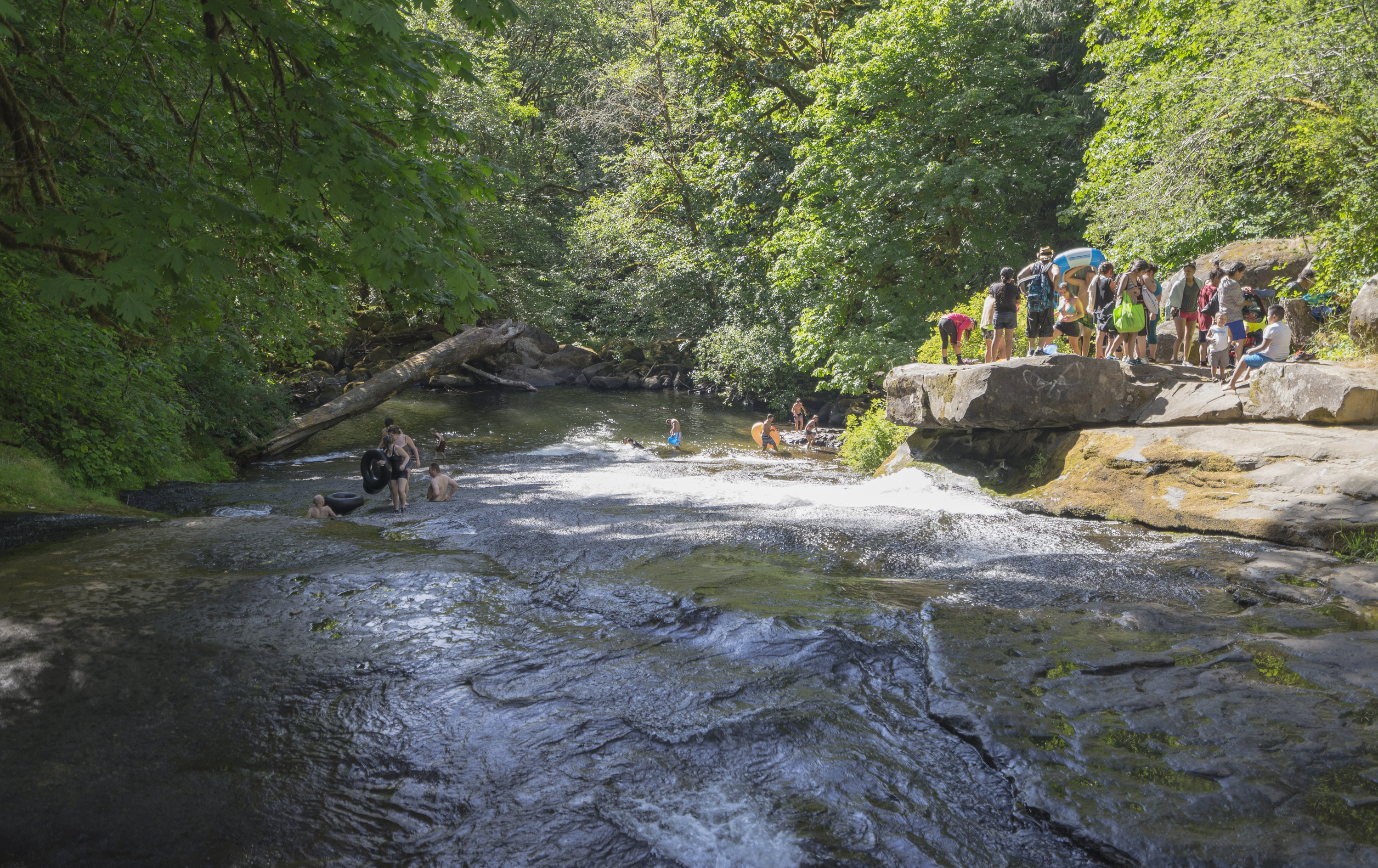 Photos: Triangle Lake Rock Slides and Lake Creek Falls, Blachly, Oregon