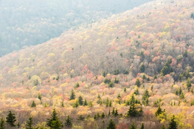 Hike Mount Rogers, Mount Rogers Parking Area