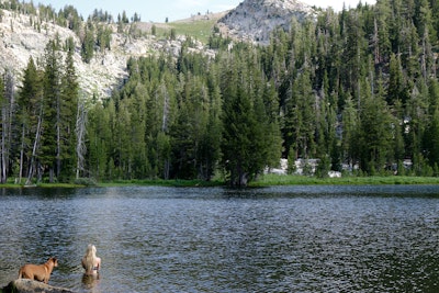 Hike To Bull Run Lake, Stanislaus Meadow