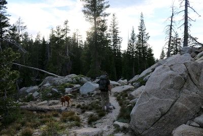 Hike To Bull Run Lake, Stanislaus Meadow