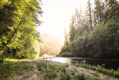 Backpack Redwood National and State Parks, Thomas H. Kuchel Visitor Center