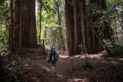 Backpack Redwood National and State Parks, Thomas H. Kuchel Visitor Center
