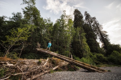 Backpack Redwood National and State Parks, Thomas H. Kuchel Visitor Center