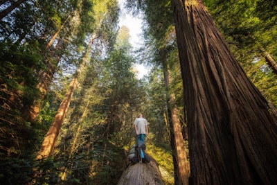 Backpack Redwood National and State Parks, Thomas H. Kuchel Visitor Center