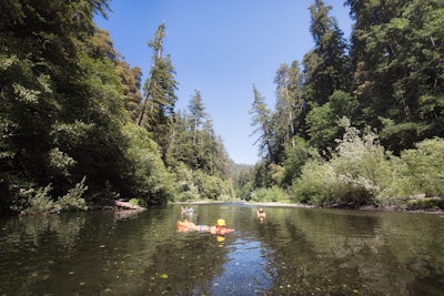 Backpack Redwood National and State Parks, Thomas H. Kuchel Visitor Center
