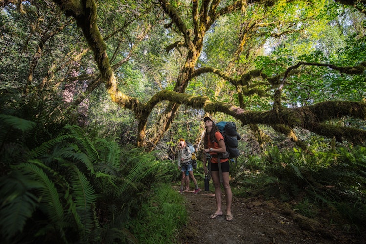 Backpack Redwood National and State Parks, California