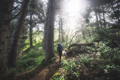 Backpack Redwood National and State Parks, Thomas H. Kuchel Visitor Center