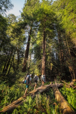 Backpack Redwood National and State Parks, Thomas H. Kuchel Visitor Center