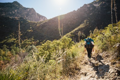 Hike to McKittrick Ridge Campground, McKittrick Canyon Trailhead