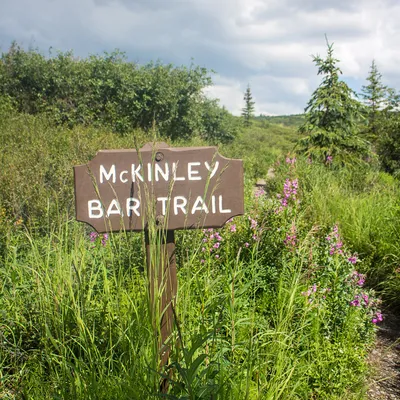 Hike the McKinley Bar Trail, McKinley Bar Trailhead