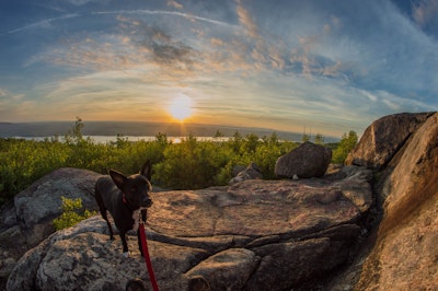 Hike to the Mt. Beacon Fire Tower, Breakneck Ridge Trailhead - Mount Beacon