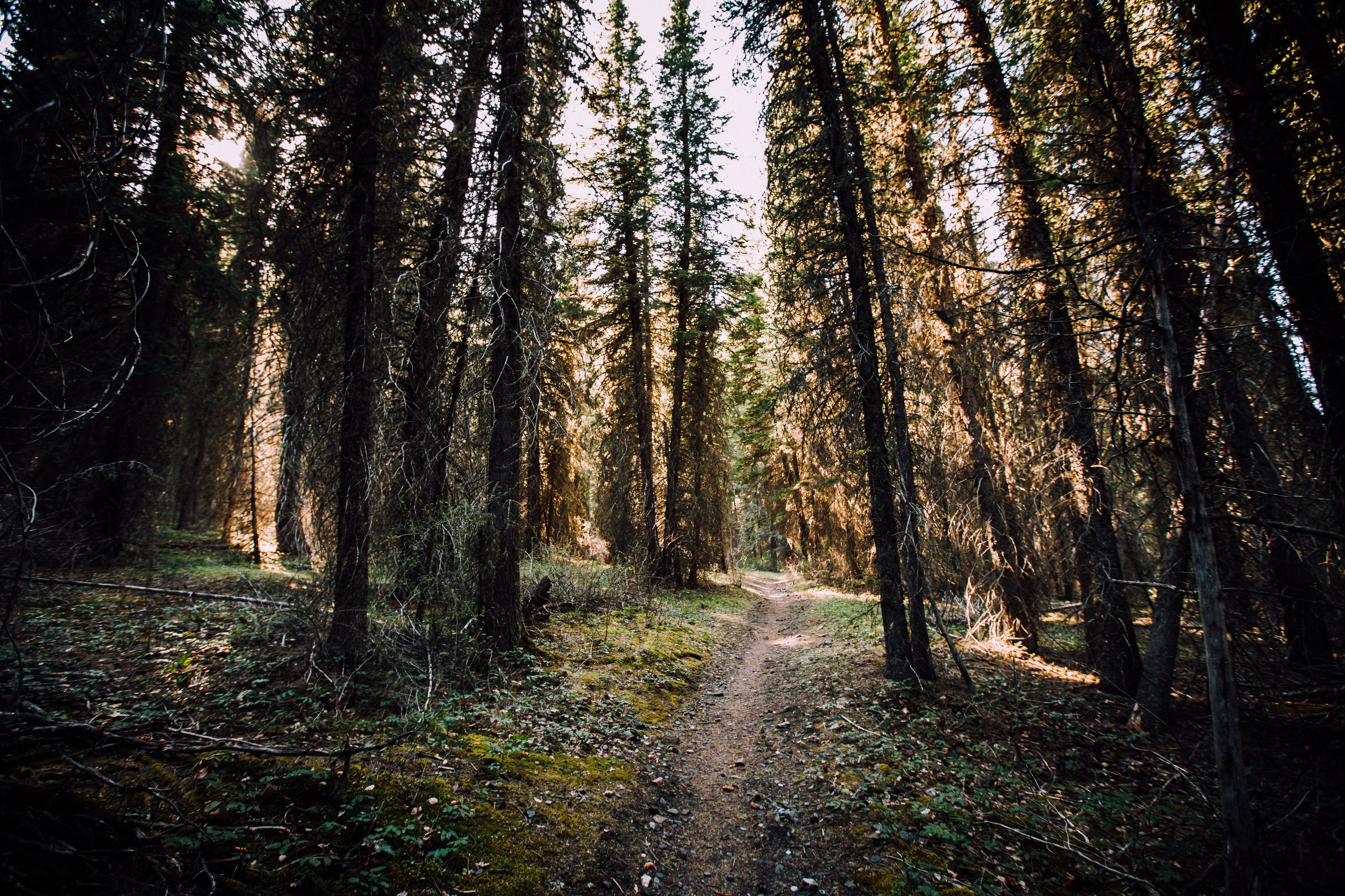Photos: Backpack the Hurricane Creek Trail , Joseph, Oregon