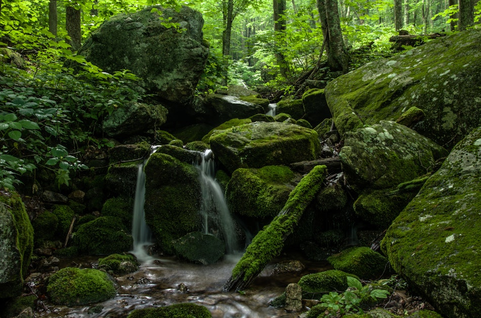 Hike to Wigwam Falls, Montebello, Virginia