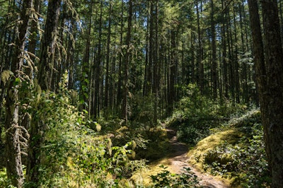 Hike Mount Manuel Quimper, Mt. Manuel Quimper Trailhead
