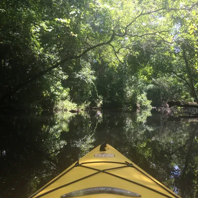 Kayak Extreme Emerald Cut, King's Landing, Apopka