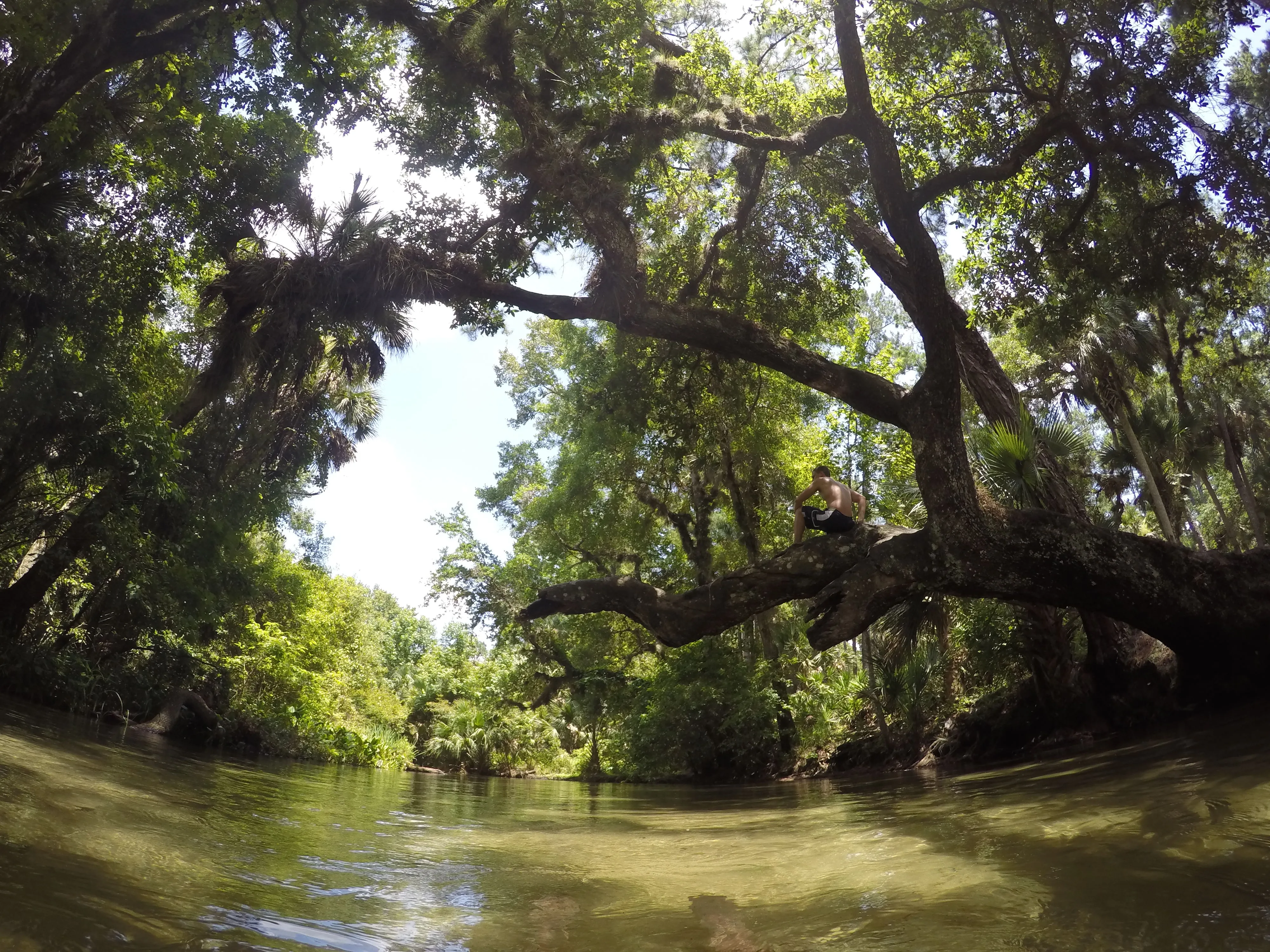 Photos: Kayak Extreme Emerald Cut, Apopka, Florida