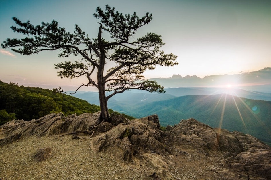 Explore Ravens Roost Overlook, Virginia