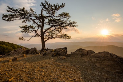 Explore Ravens Roost Overlook, Ravens Roost Overlook