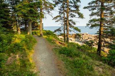 Explore Otter Point, Otter Point, Acadia National Park