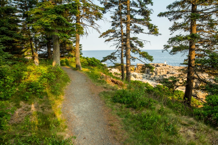 Explore Otter Point, Maine