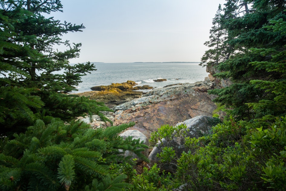 Explore Otter Point, Maine