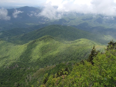 Hike to the Mount Cammerer Lookout Tower, Low Gap Trailhead