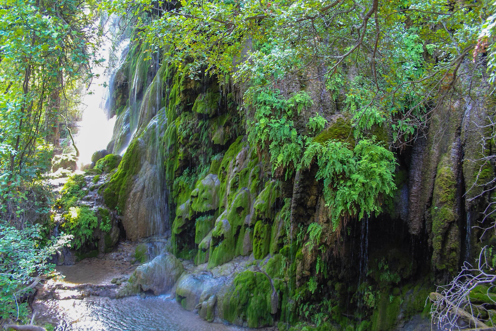 Gorman Falls, Lometa, Texas