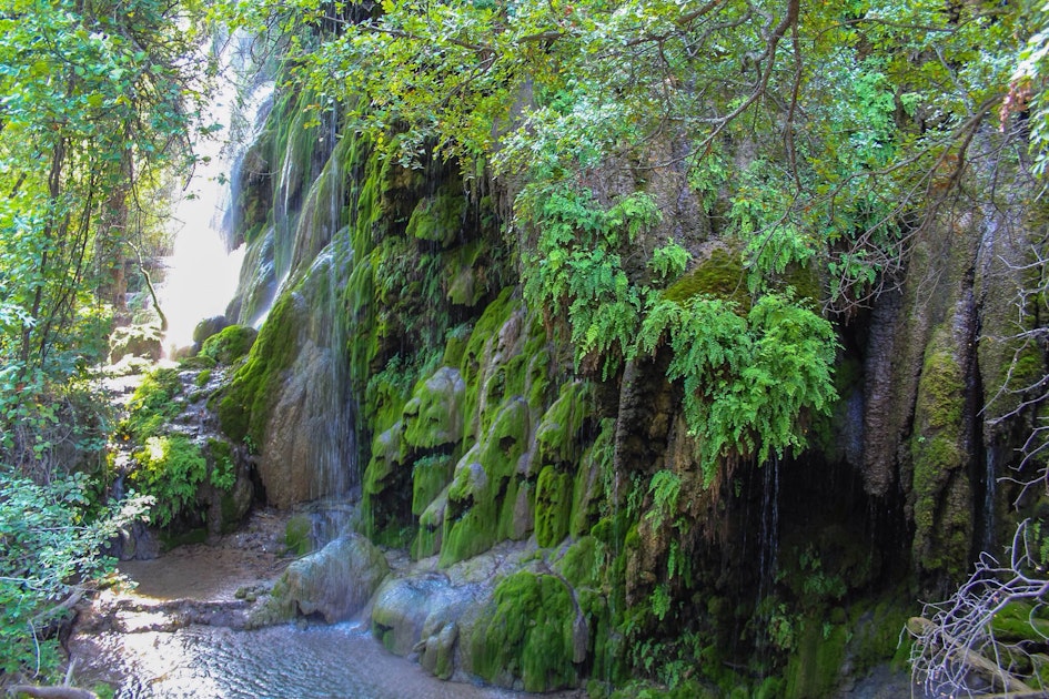 Hike to Gorman Falls, Austin